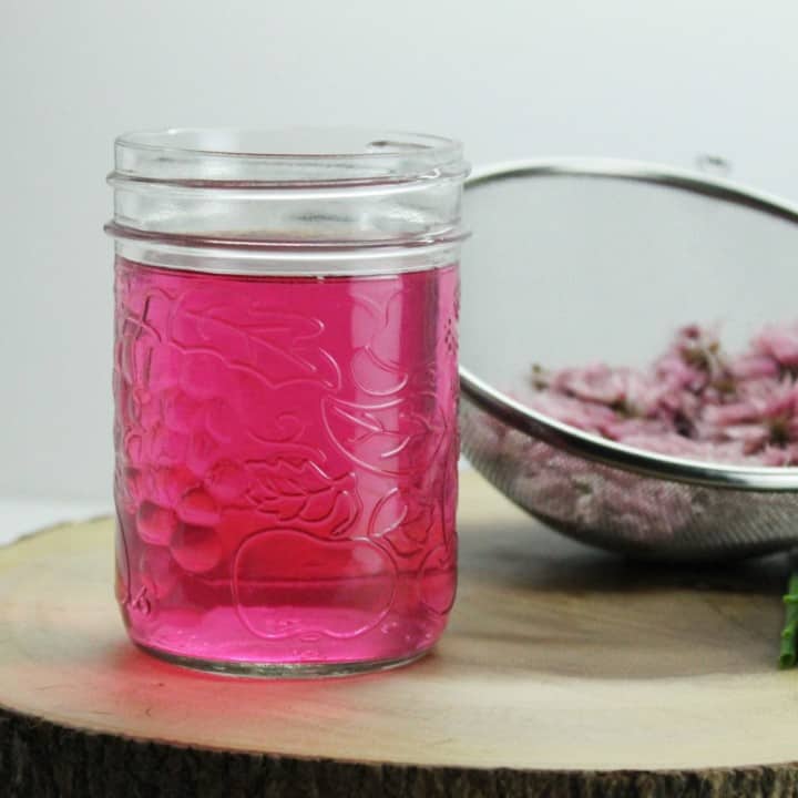 Homemade Pink Chive Blossom Vinegar
