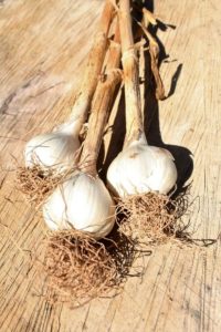 11 Must Have Spices & How To Use Them - Earth, Food, and Fire