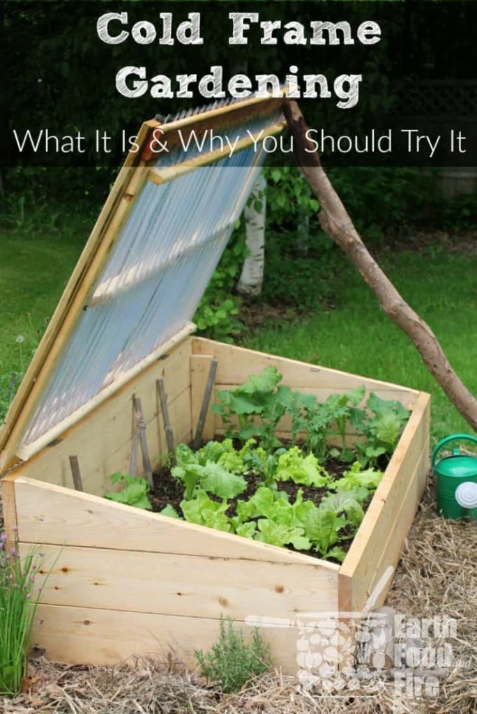 Cold Frame Gardening | What Is It, and Why You Should Try It - Earth ...