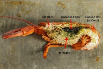 Grilled Atlantic Lobster Brushed with Garlic Butter & Herbs - Earth ...