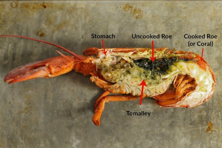 The Complete Guide To Cooking Lobster - Earth, Food, and Fire