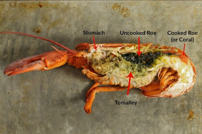 The Complete Guide To Cooking Lobster - Earth, Food, and Fire