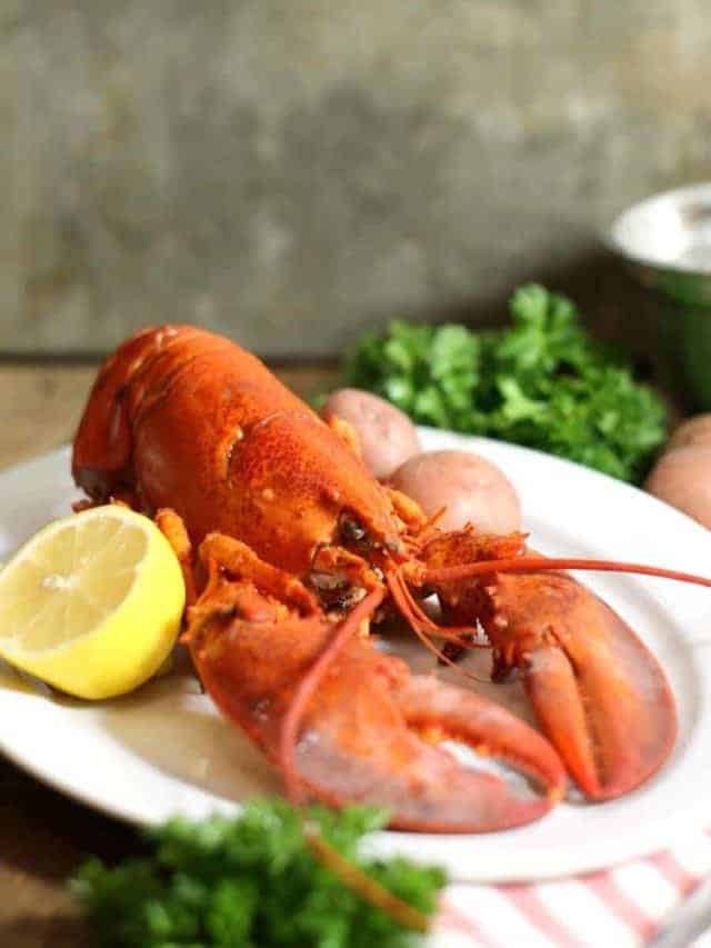 Cooking 101: Lobster - Earth, Food, and Fire