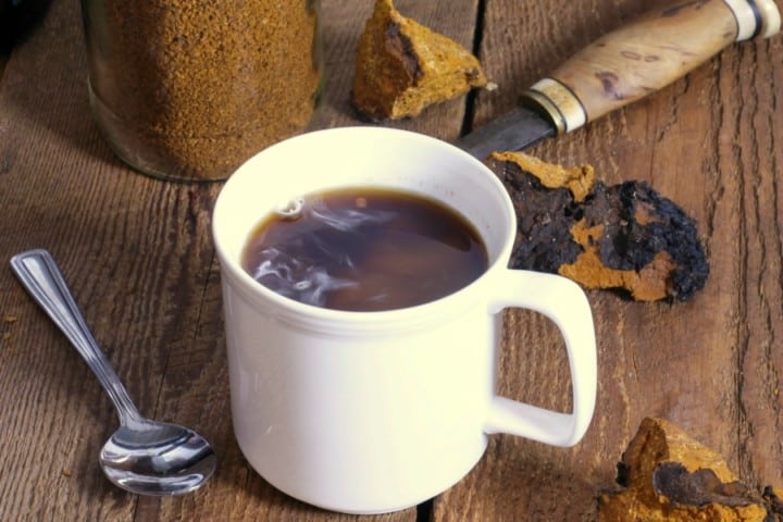 How To Make Chaga Tea At Home - Earth, Food, and Fire
