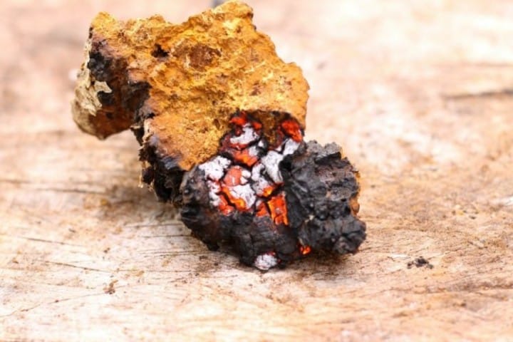 How To Make Chaga Tea At Home - Earth, Food, and Fire