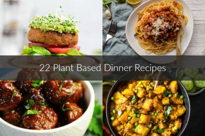 22 Plant Based Recipes for a Better Health - Earth, Food, and Fire