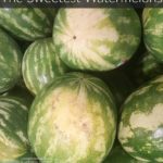 How To Choose A Watermelon - Earth, Food, and Fire