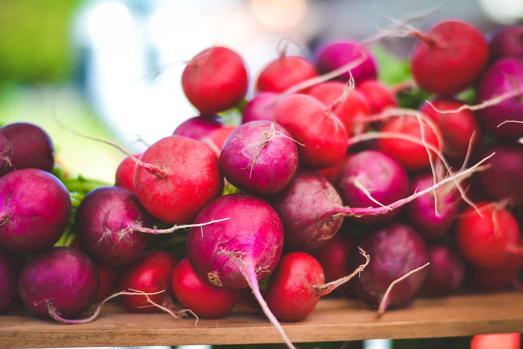 How To Grow Radishes - Earth, Food, and Fire