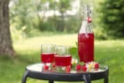 Raspberry Cordial - Earth, Food, and Fire