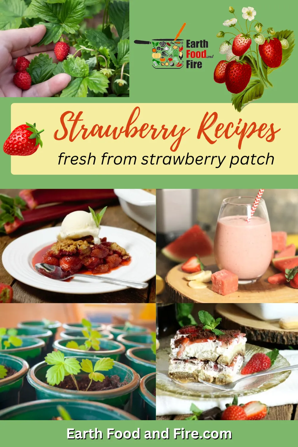 Strawberry Recipes to Enjoy In Summer Season - Earth, Food, and Fire